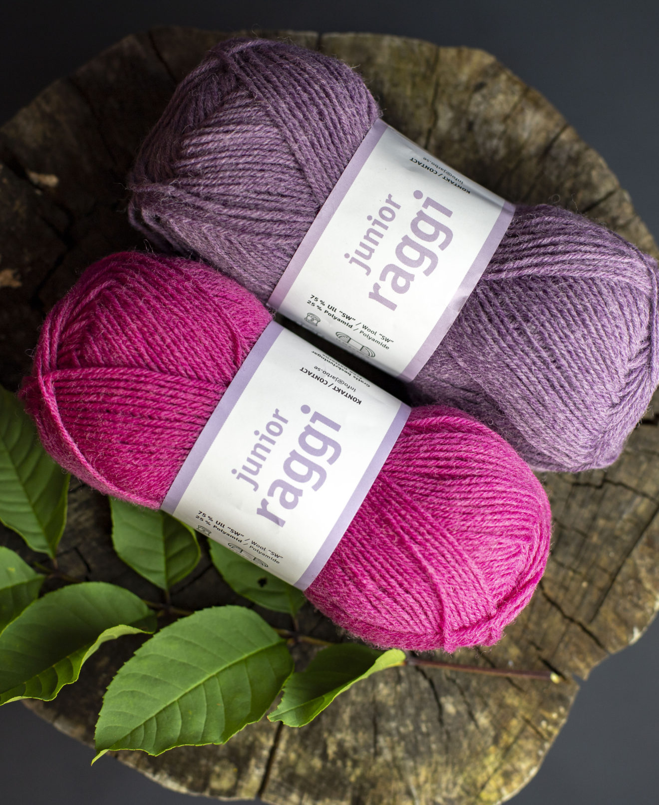 Järbo Junior Raggi | GARNR